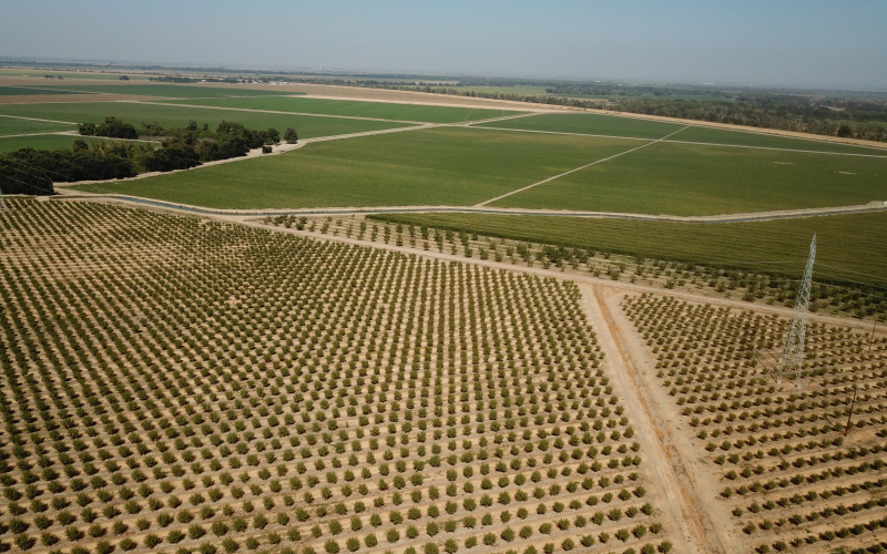Historical & Future US Farmland Prices By State