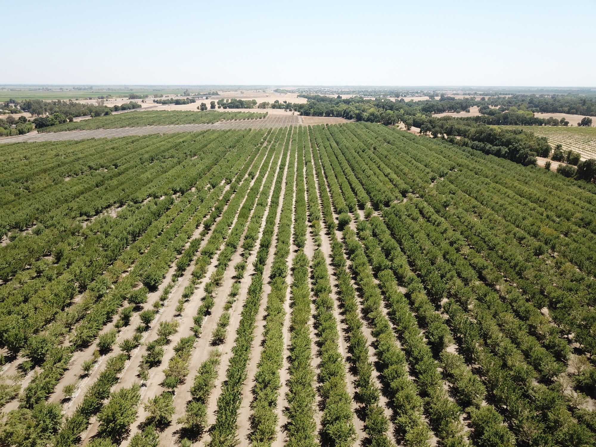 How California Farmers Are Sustainably Managing Water In The Field