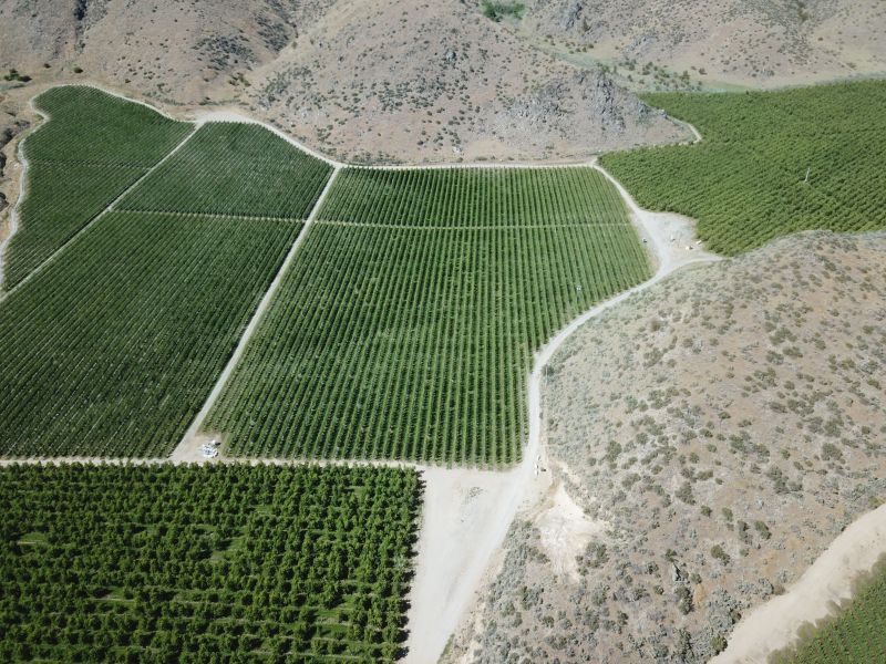 Geographic Diversification Within Farmland Investing