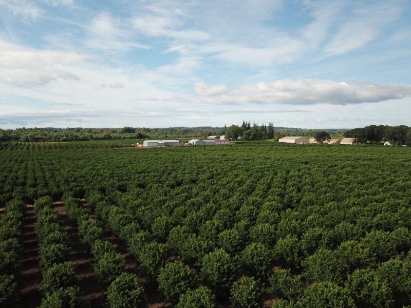 Land Values Are Rising - What’s Driving This Growth?