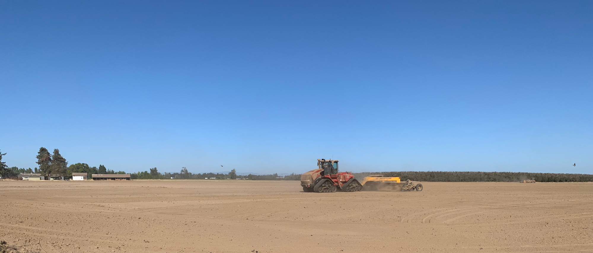 Sustainable Soil Practices: Understanding Tillage and Crop Rotation