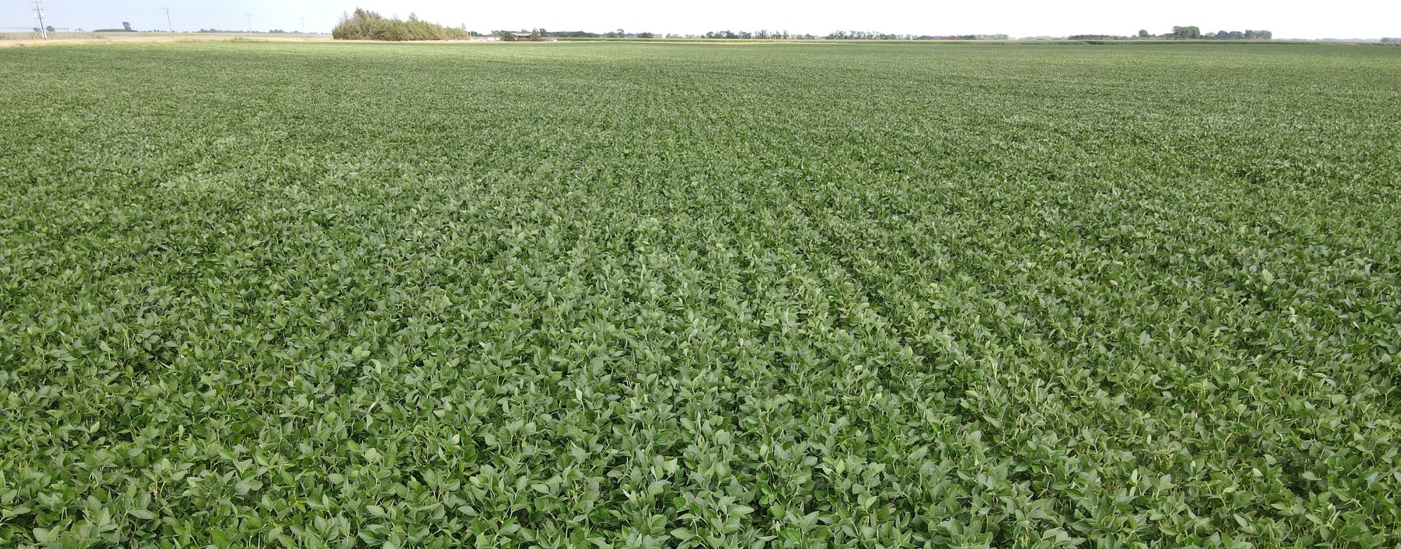 Cropland: What’s It Worth and How Is It Valued?