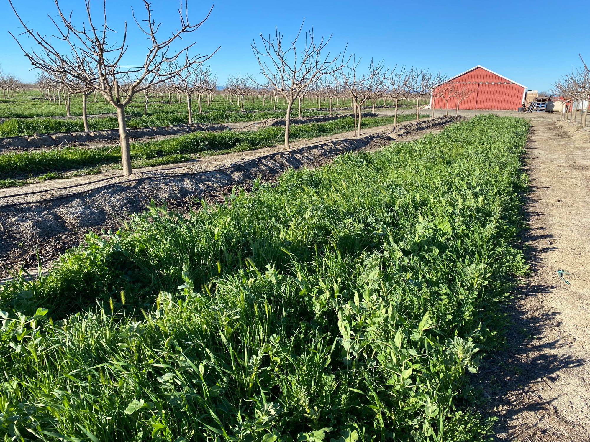 The History - and Future - of American Family Farms