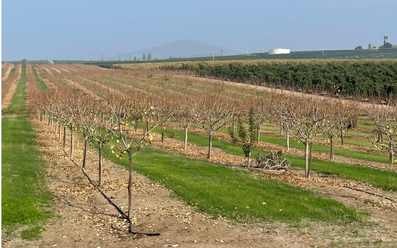 What Is A Good Asset Mix For Retirement at Alison Mclemore blog