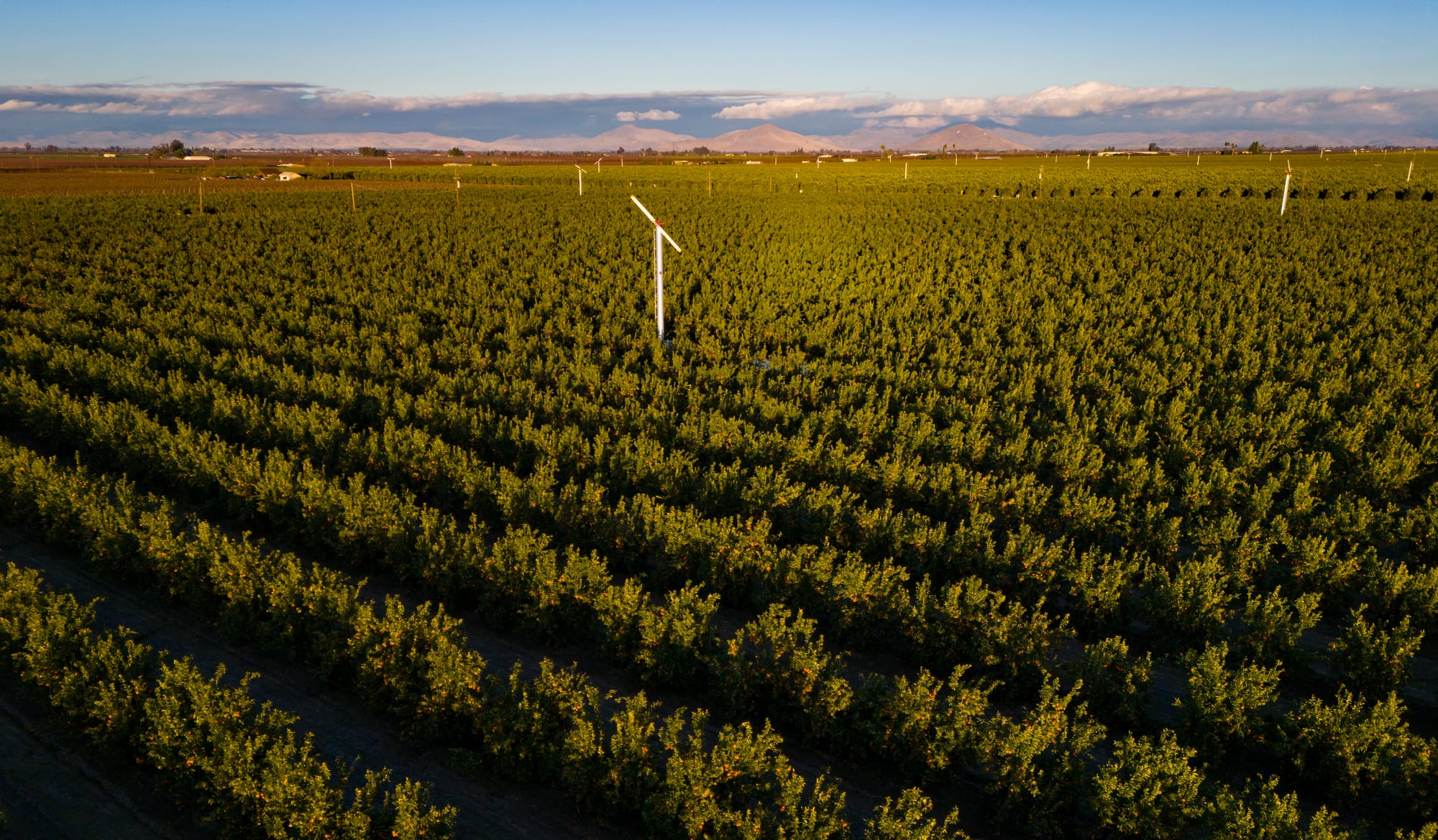 WisdomTree Acquires Ceres Partners–What It Means for Farmland Access ...